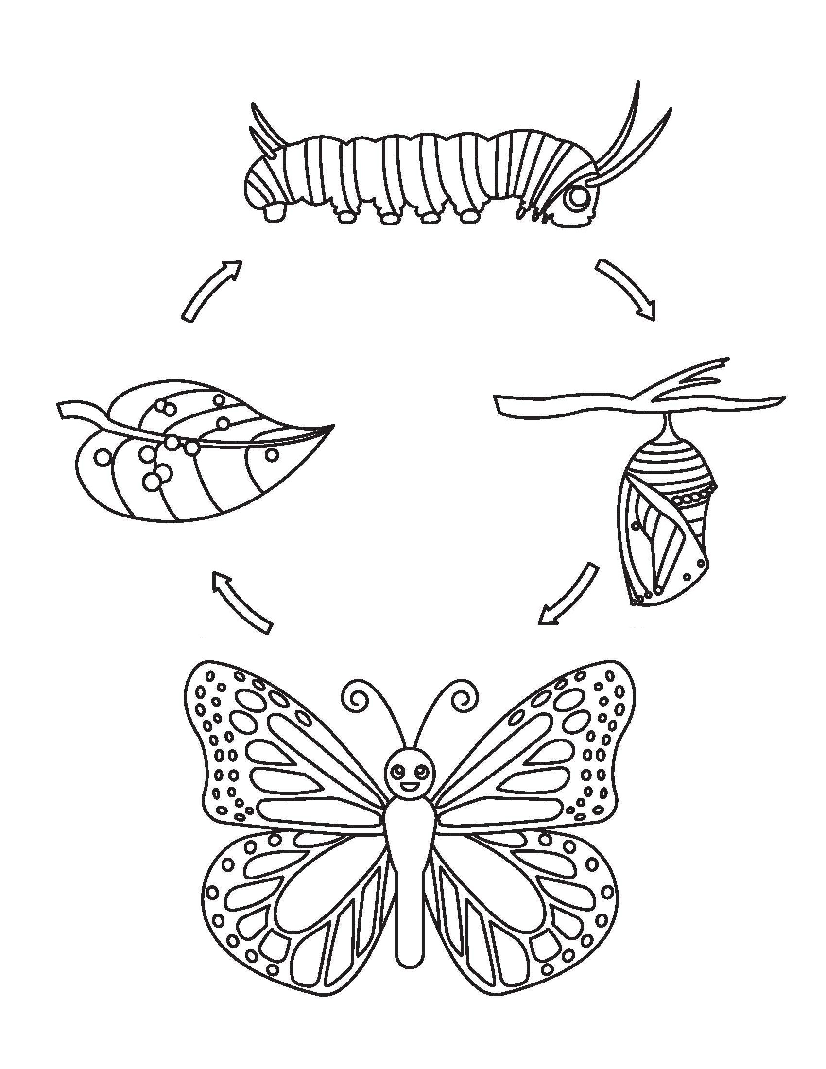 Butterfly Coloring Games - ColoringGames.Net