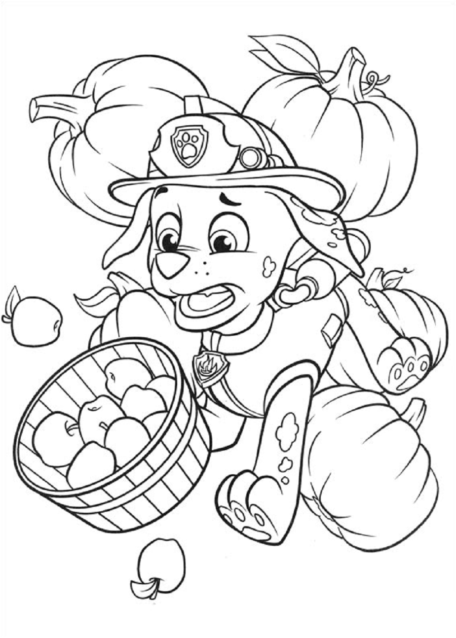Rocky Paw Patrol Coloring Games - ColoringGames.Net