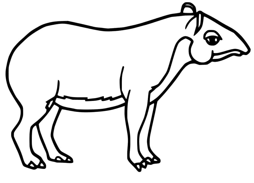 Printable Tapir Coloring - Play Free Coloring Game Online