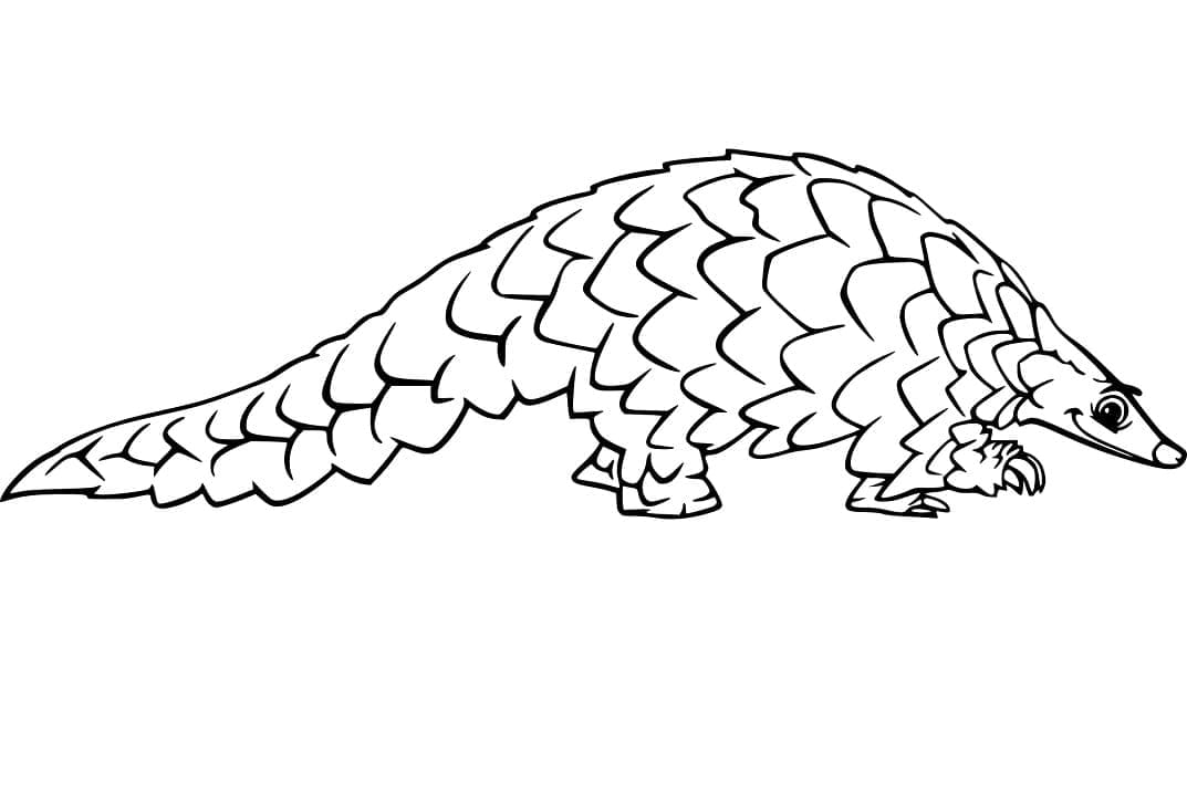 Pangolin Coloring Games - ColoringGames.Net