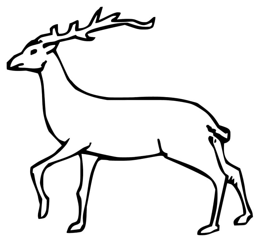 Cartoon Red Deer Coloring - Play Free Coloring Game Online