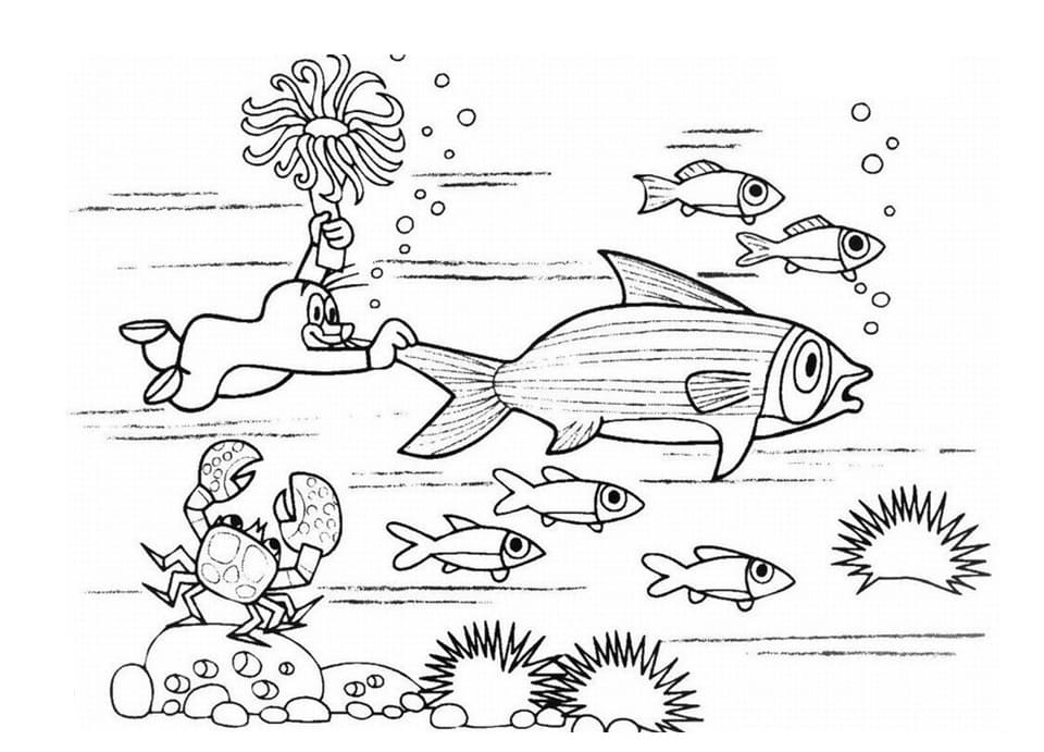 Krtek Coloring Games - ColoringGames.Net