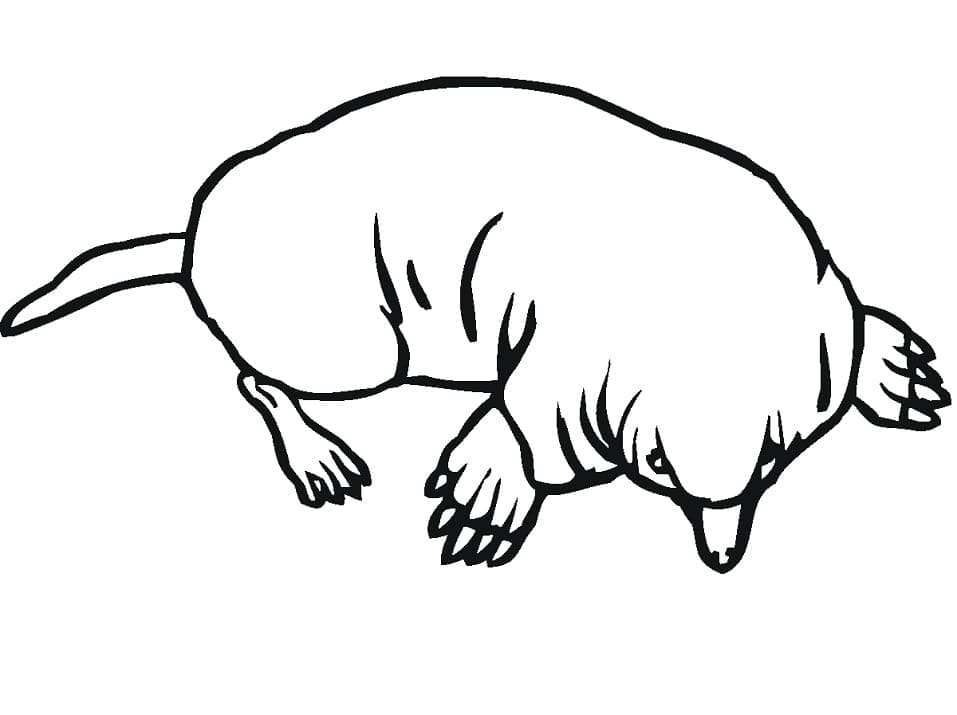 Mole Printable Coloring - Play Free Coloring Game Online