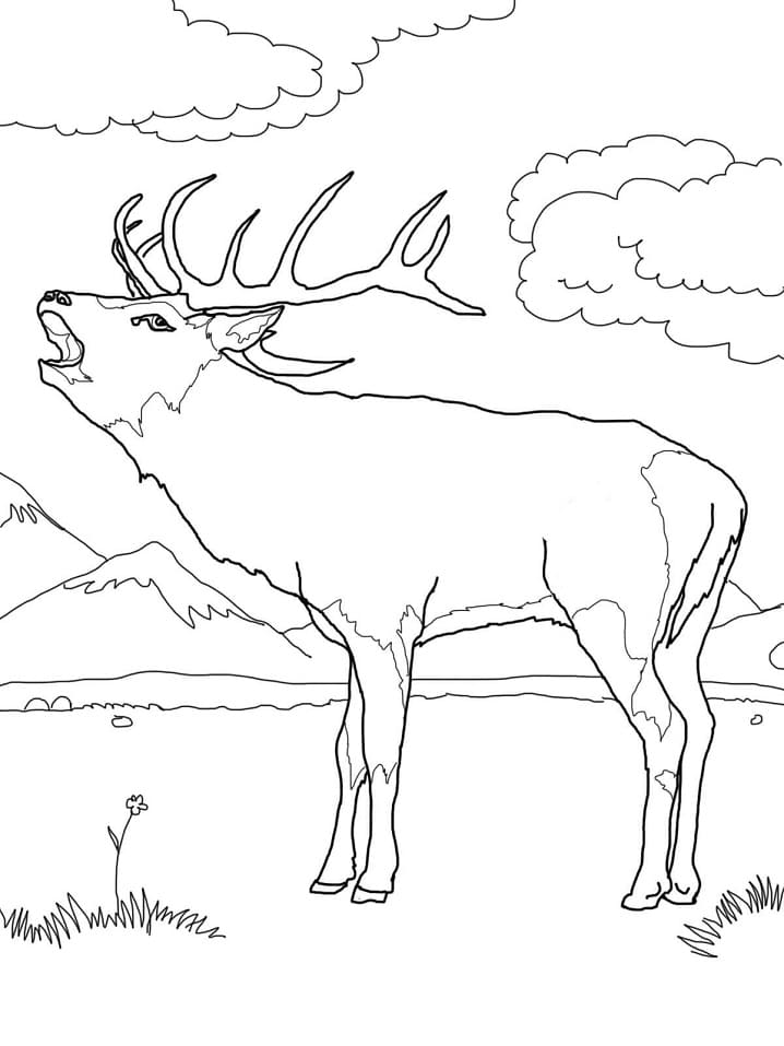 Cartoon Red Deer Coloring - Play Free Coloring Game Online