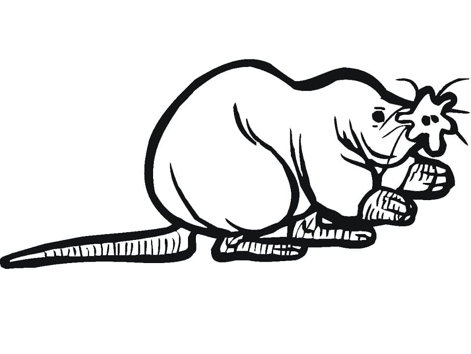 Mole Outline Coloring - Play Free Coloring Game Online