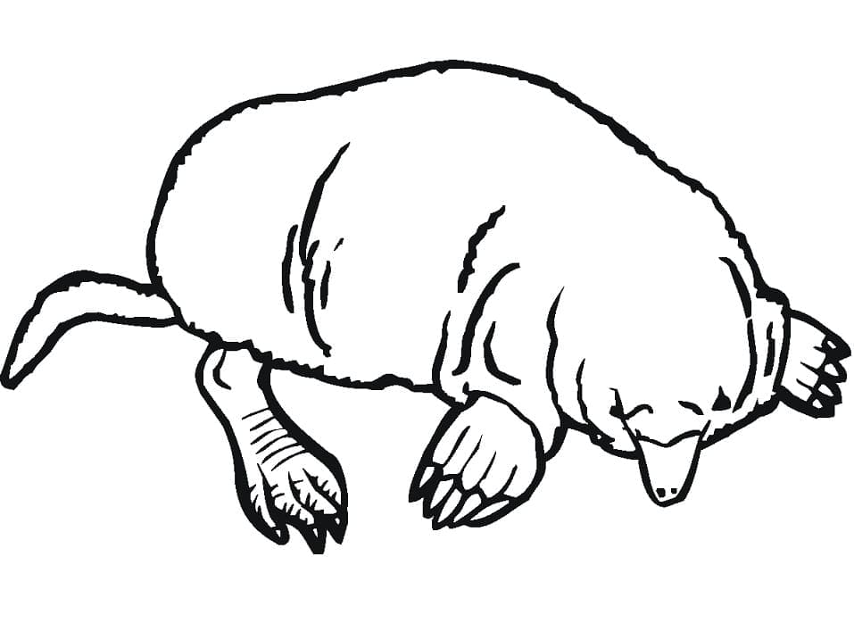 Mole Outline Coloring - Play Free Coloring Game Online