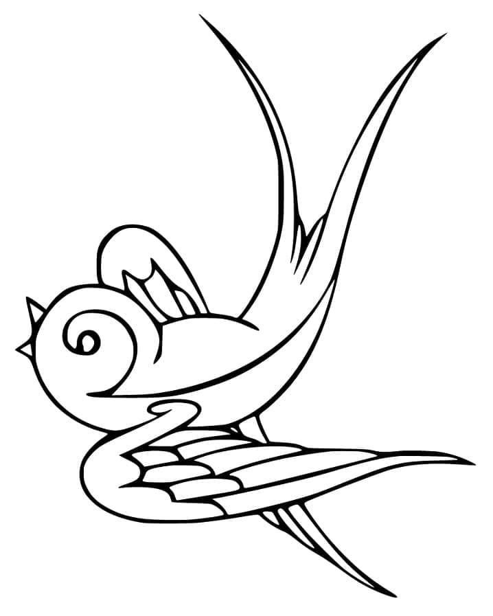 Tree Swallow Coloring - Play Free Coloring Game Online